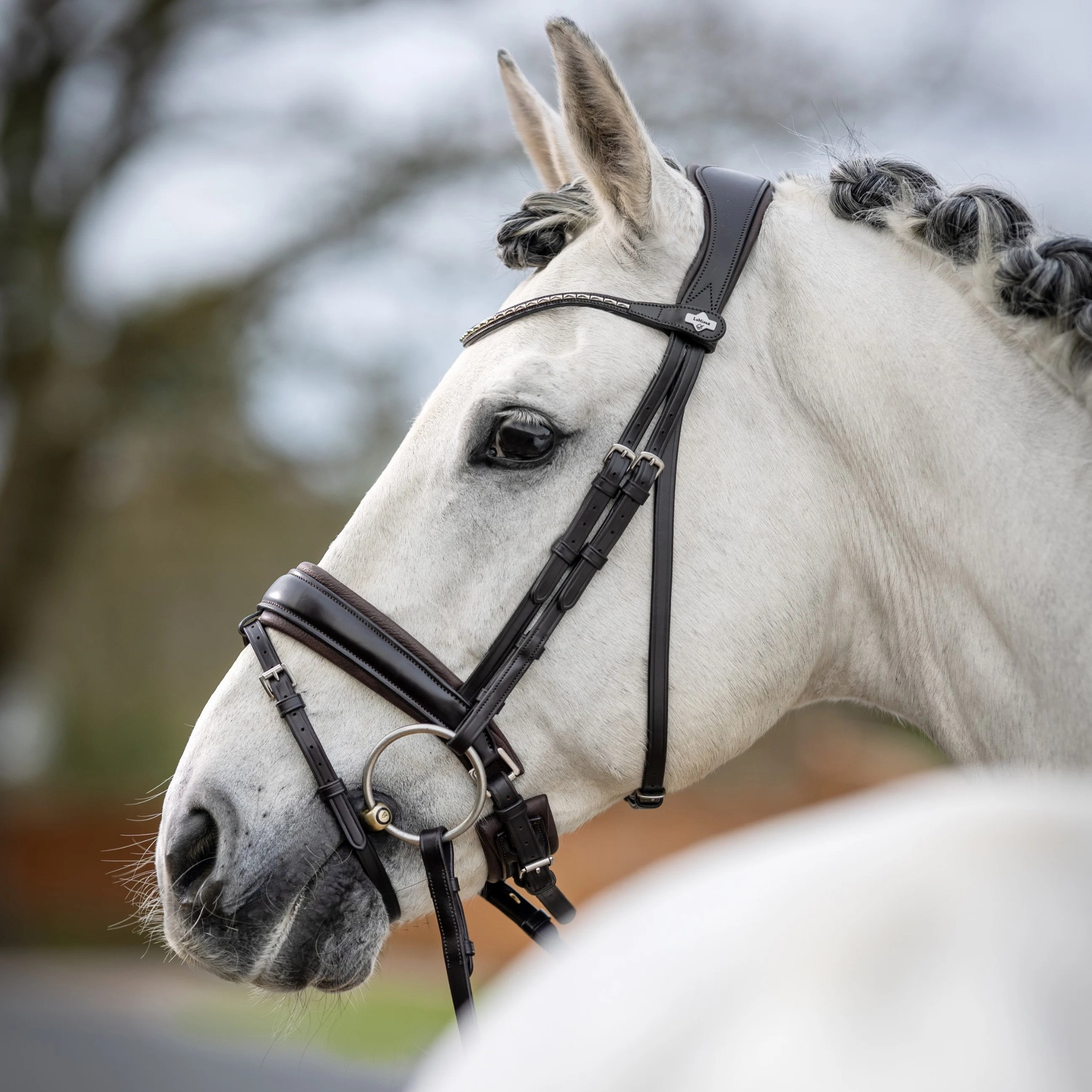 Bridons LeMieux fabriqués à partir de cuir européen