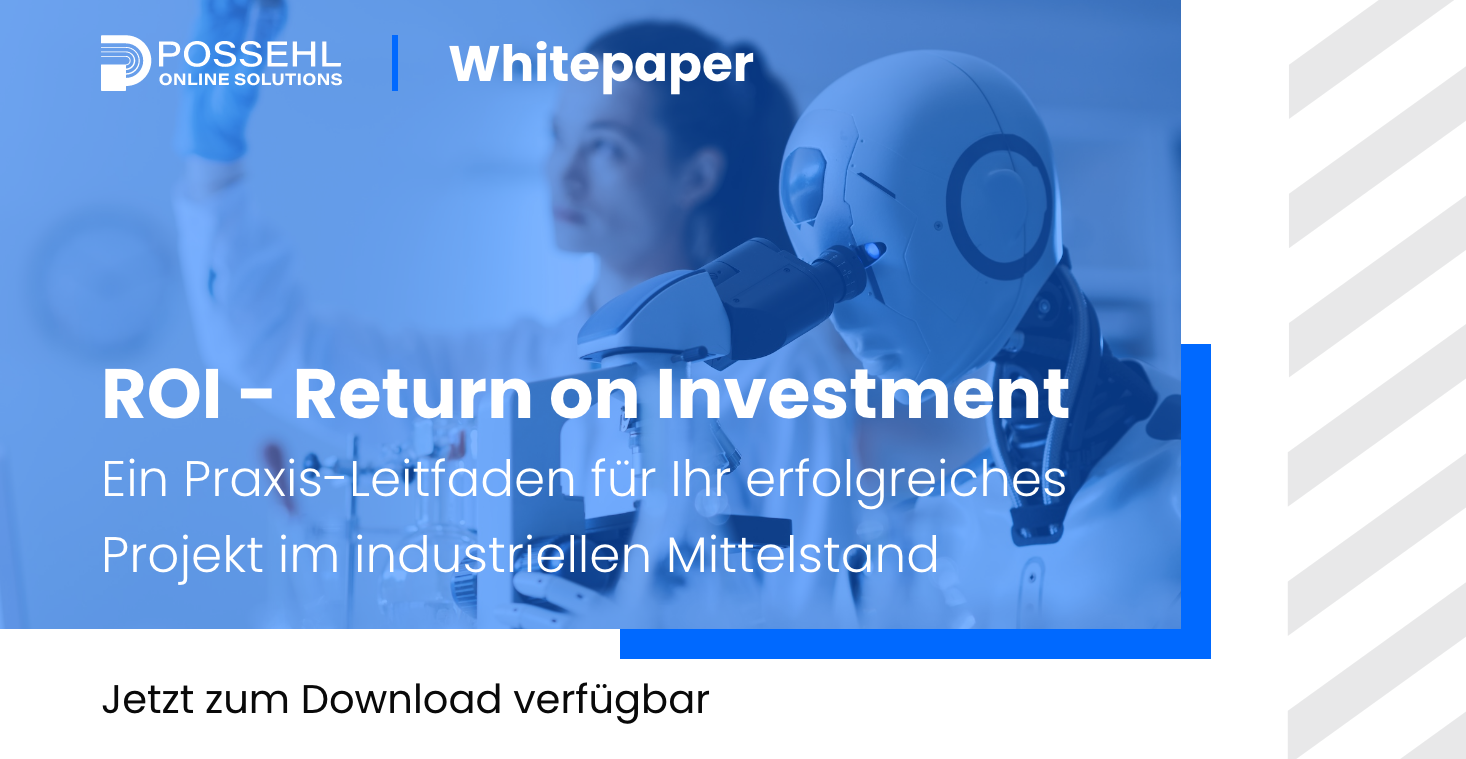 Whitepaper ROI Return on Investment | Possehl Online Solutions