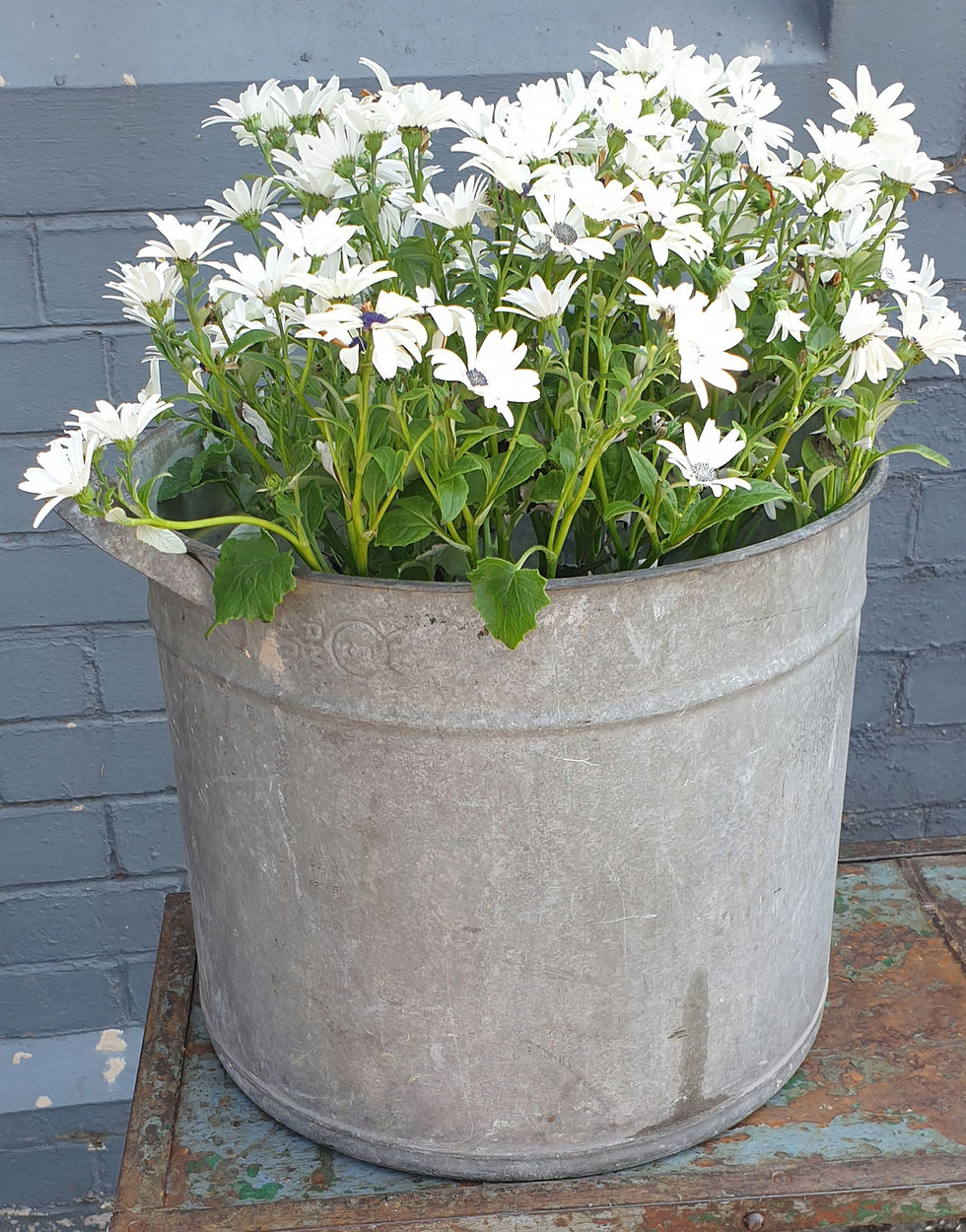 SHEFFIELD ANTIQUES CENTRE | SHEFFIELD | 99 BROADFIELD ROAD, HEELEY ...