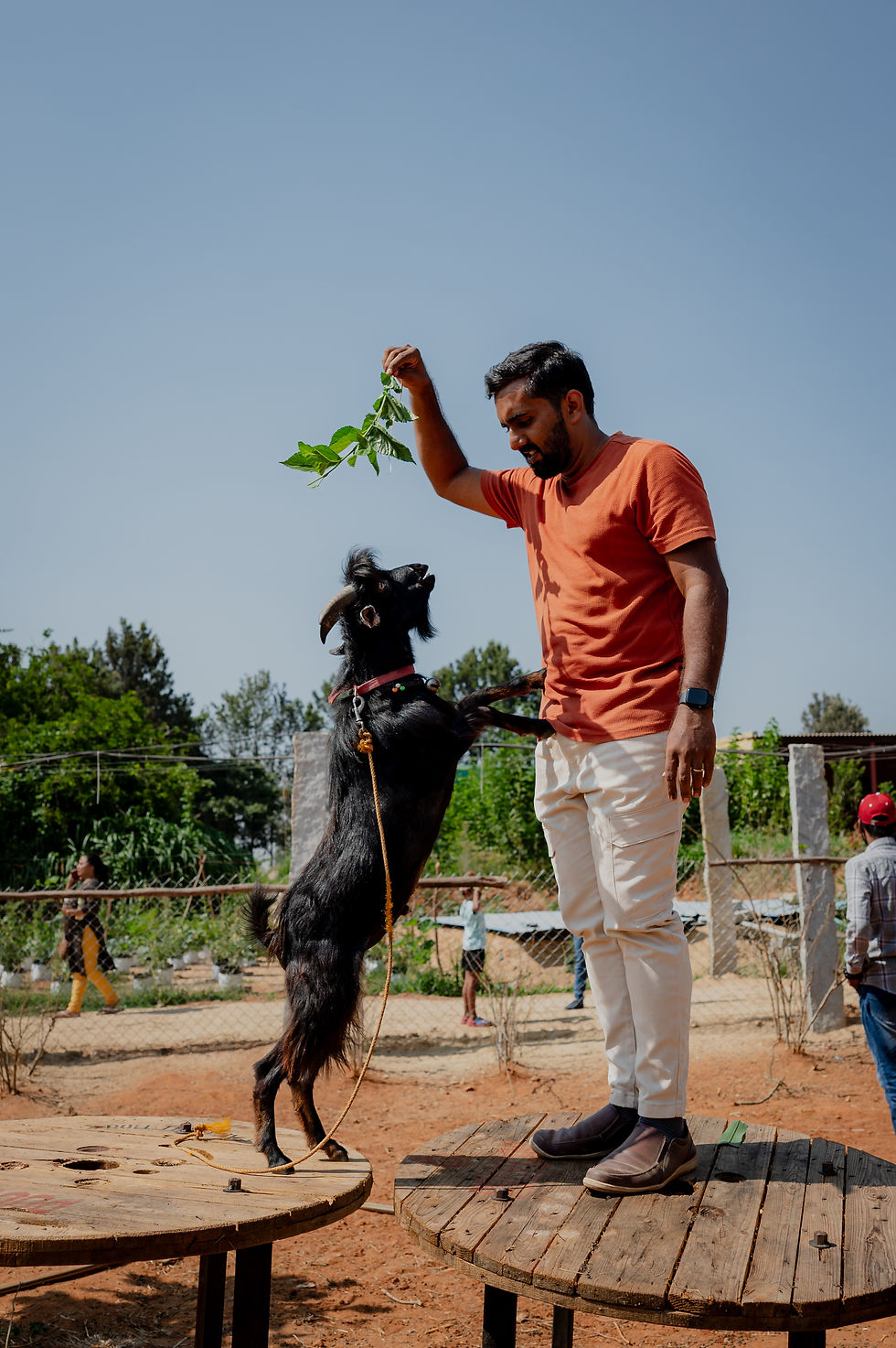 Jeeva Park | Pet farm near Bengaluru | Jeeva Park, Mayasandra ...