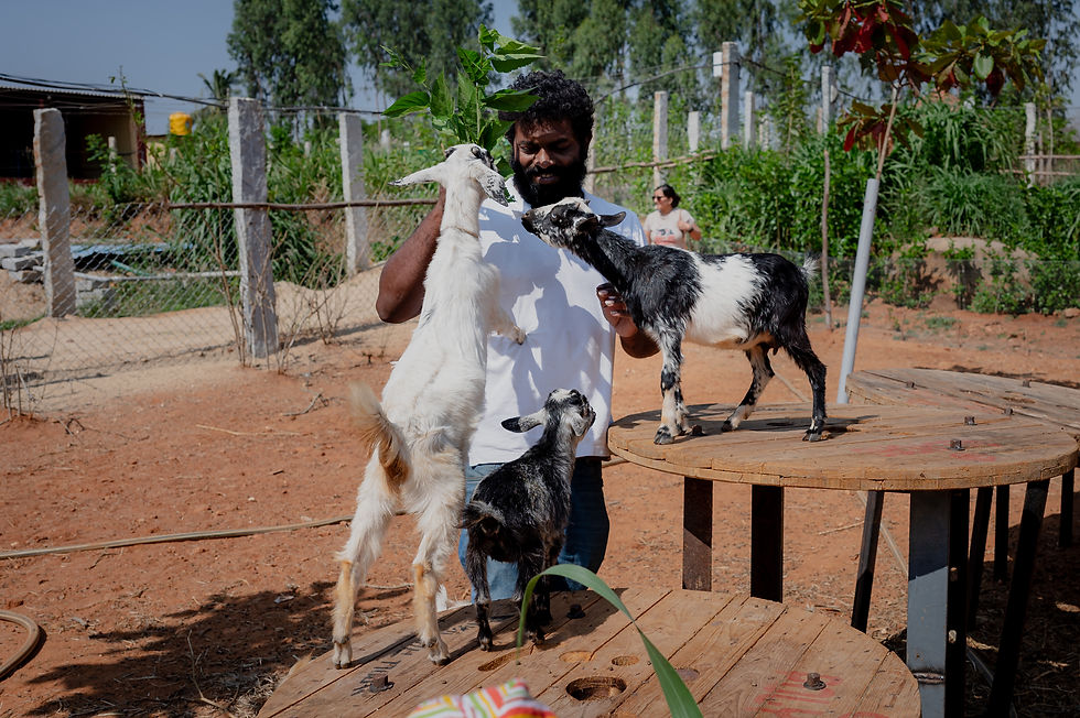 Jeeva Park | Pet farm near Bengaluru | Jeeva Park, Mayasandra ...