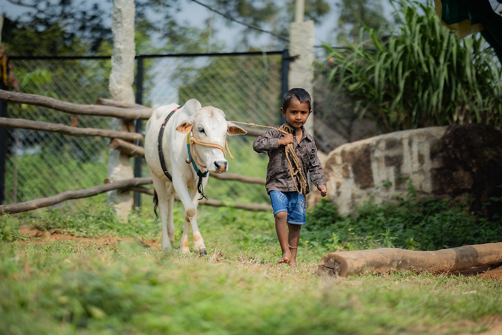 Exploring Jeeva Park: A Unique Encounter with Friendly Animals at the ...