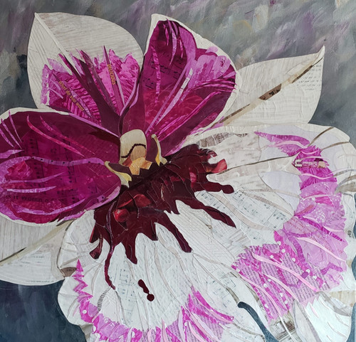 Orquidea (Orchid) Limited Edition Art Print | Galeria de Arte