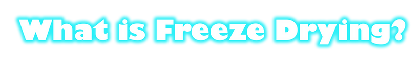 All About FREEZiES | Freezies Treats