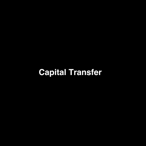 Início | Capital Transfer