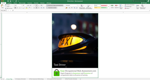 Complete Health and Safety Risk Assessment for Taxi Driver to Download