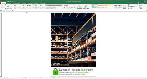 Document Unique Complet pour Caviste à Télécharger
