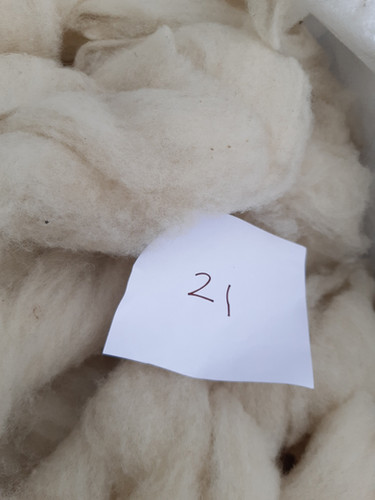 21 - 200g Pure British Natural White Sliver | Halifax Mill