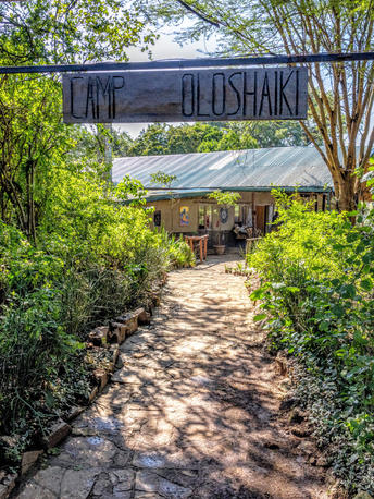 Camp Oloshaiki | Maasai Mara Accommodation