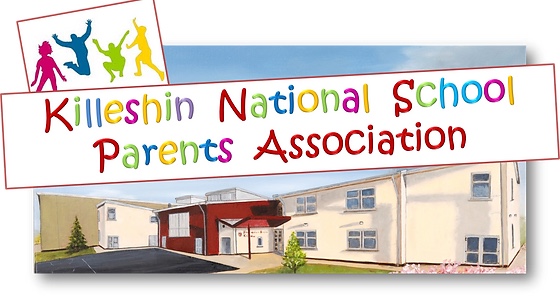 School | Killeshin National School | County Carlow
