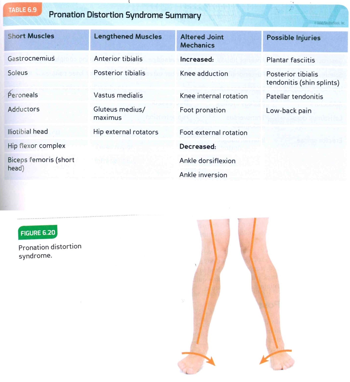 Personal Trainer Resources / Anatomy / Assessments / Apps ...
