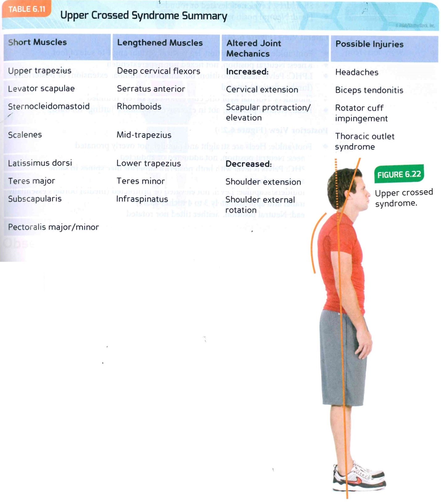Personal Trainer Resources / Anatomy / Assessments / Apps ...