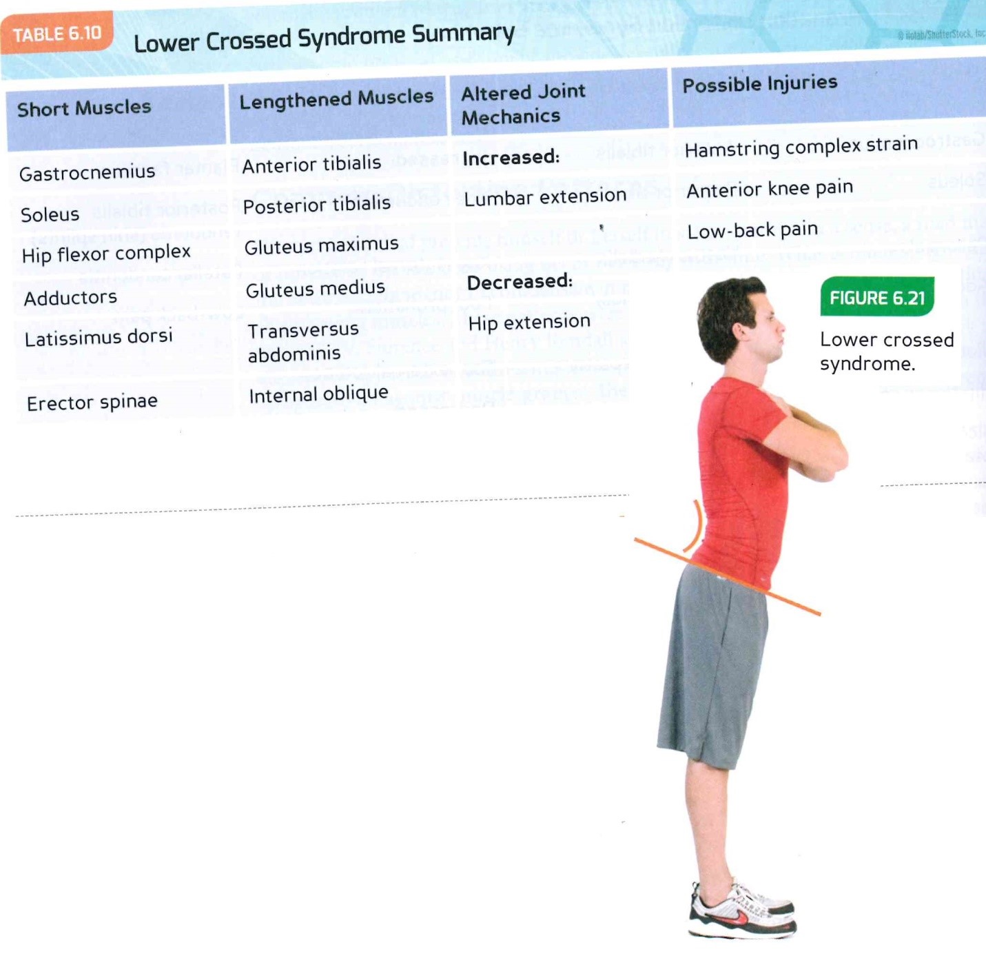 Personal Trainer Resources / Anatomy / Assessments / Apps ...