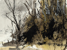 Rabley winter series | Nik Pollard