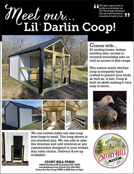 CUSTOM SHED BUILDS | Story Hill Farm