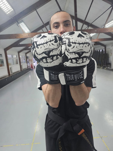 Boxing Gloves | True Wuge & Li Huan Boxing Gloves | Chi Combat System