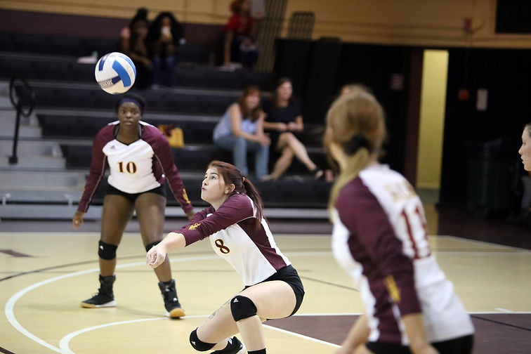 Volleyball | USC Salk Athletics