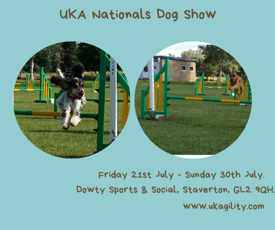 UK Agility Nationals 2023 | Dowty UK Agility Nationals 2023 | Dowty