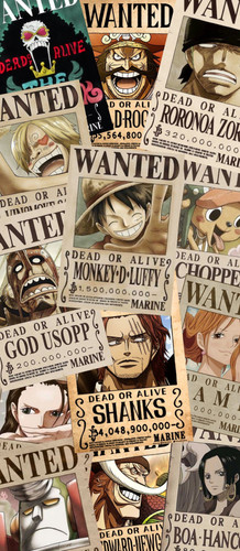 One Piece Bounty Posters | The Posters Bay