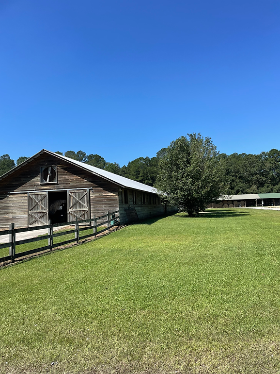 Boarding | Rancho Lodazal