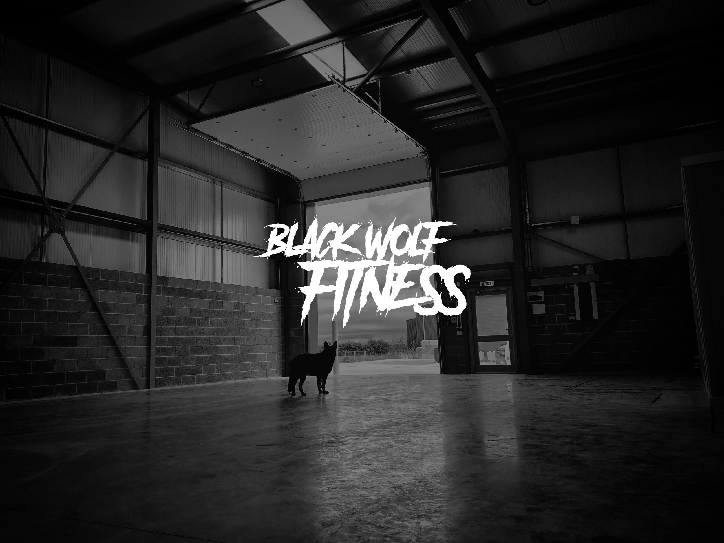 Functional Fitness & Apparel | Black Wolf Fitness