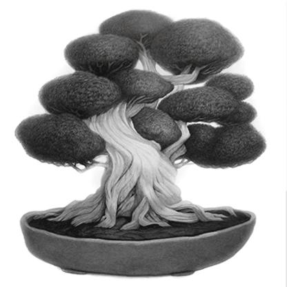 How to Draw a Bonsai Tree | Draw Like a Boss