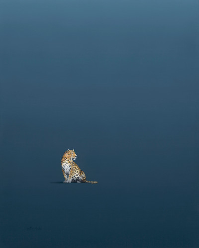 Luxor | Matthew Rucker