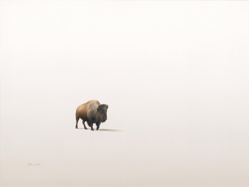 Dakota | Matthew Rucker