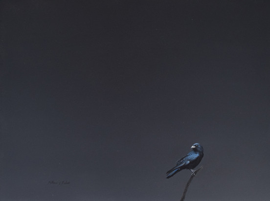 Balance | matthewrucker.com