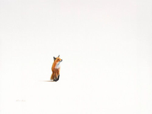 Scarlet | Matthew Rucker