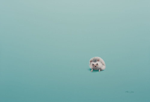 I See Your Point | by Matthew Rucker