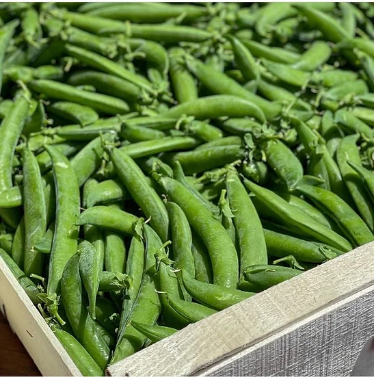 Fresh Produce | Bombay Farming Co.