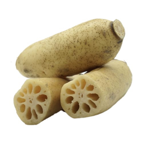 THAI LOTUS ROOT (450 to 500 GMS) | Bombay Farming Co