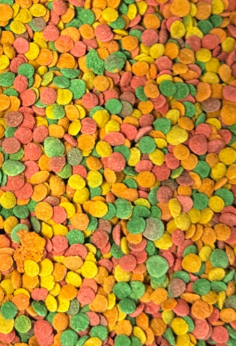 Pretty Bird - Bulk Daily Select Premium Bird Food 1 LB | Birdie Bird Aviary