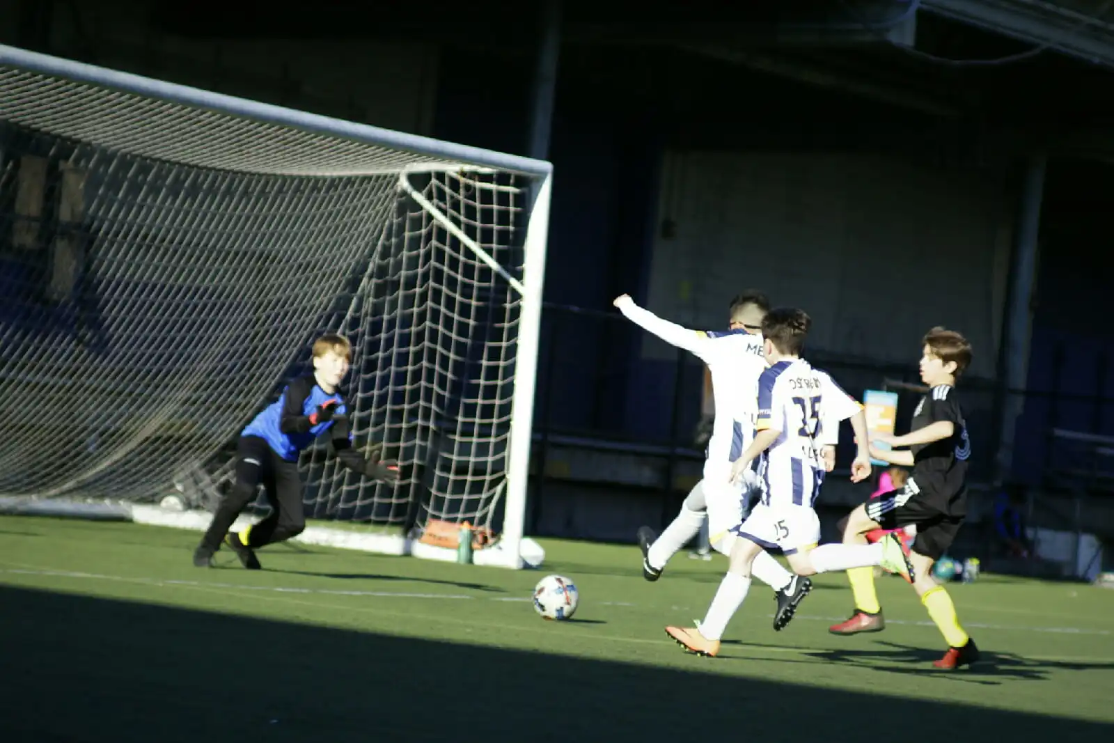 Best Soccer Club Near Bronx New York | Alba Fc (soccer Club) | New York