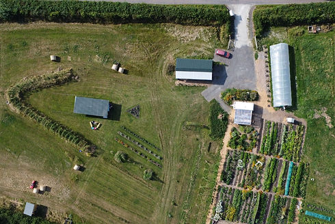 No Dig Gardening | Trigon Farm | Derriton