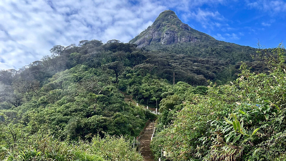Sri Pada/Adams Peak: A Serene Sunrise Hiking Guide for the Off-Season