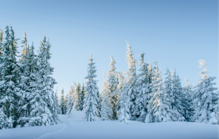 Vórtice polar traerá temperaturas gélidas a canadá