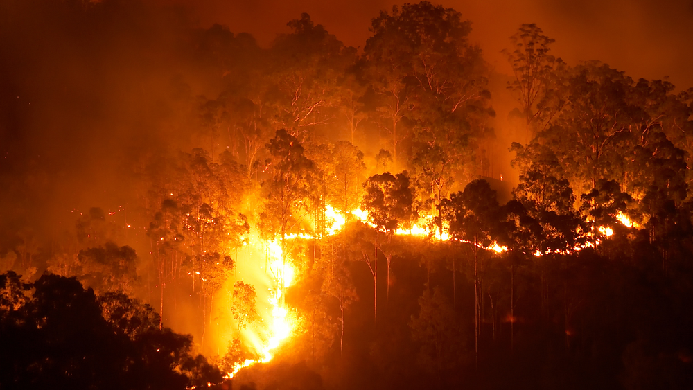 Incendio forestal consume el pueblo de Jasper, Alberta