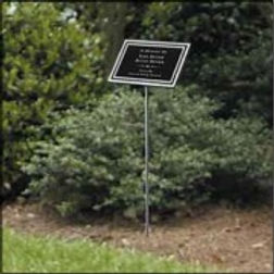 Tree Dedication Program | camppapillon