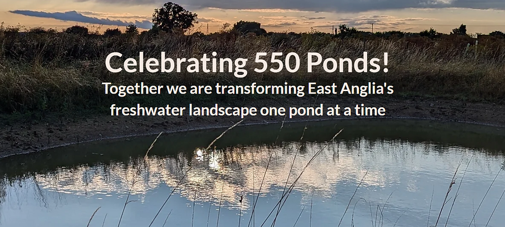 Thank you for the ponds!