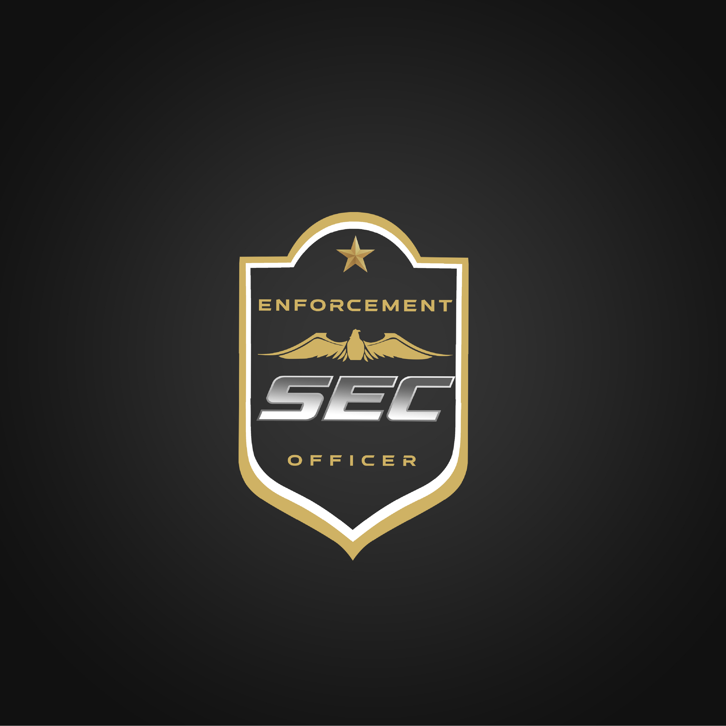 Acerca de nosotros | Security Enforcement