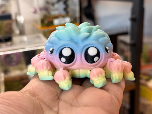 Pastel rainbow Spood Fidget | Terra N Fern