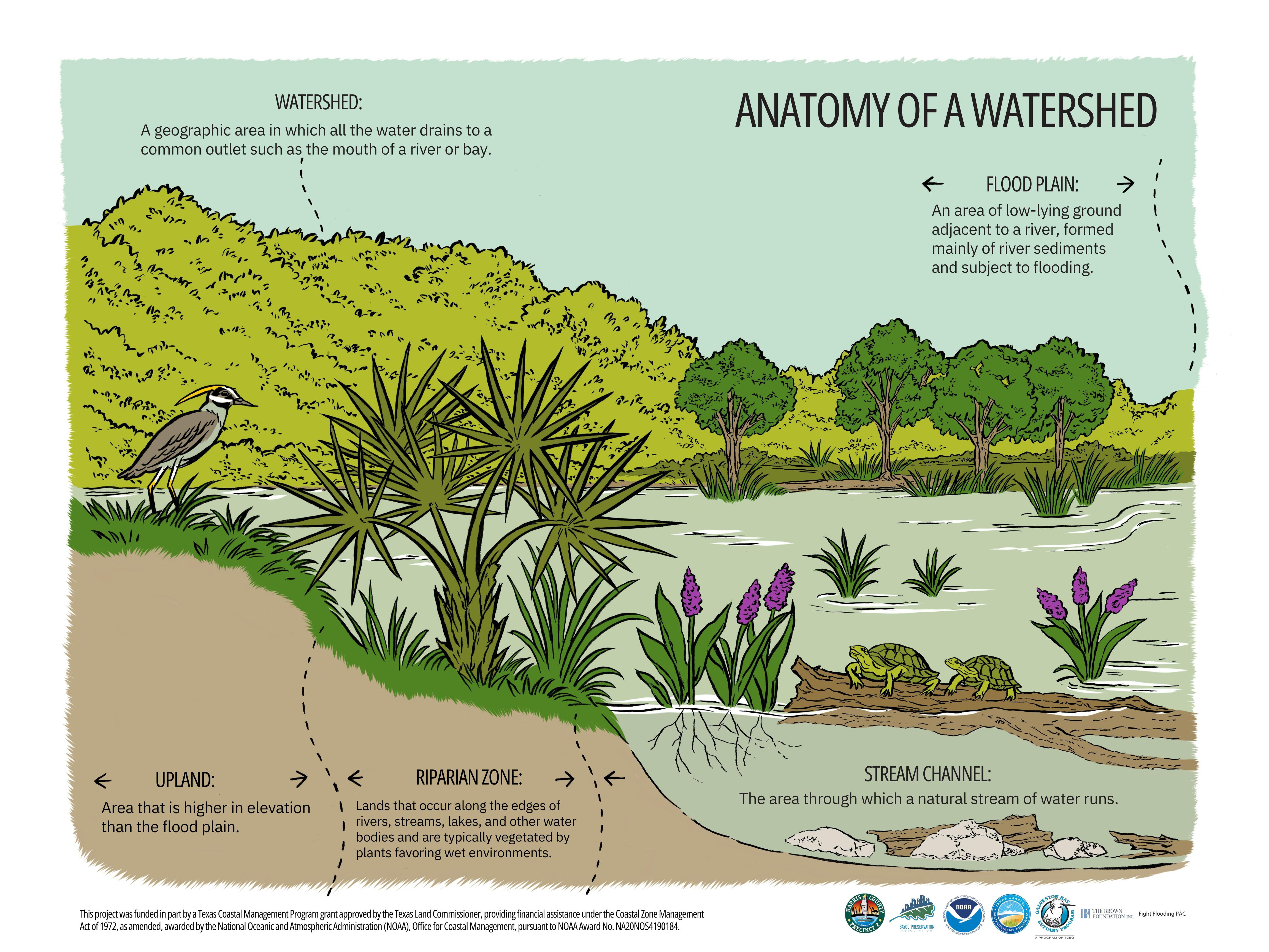 Anatomy of a Watershed | Bayou Preservation