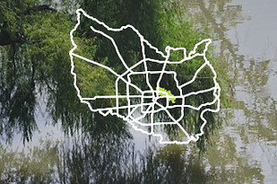 Our Bayous | Bayou Preservation