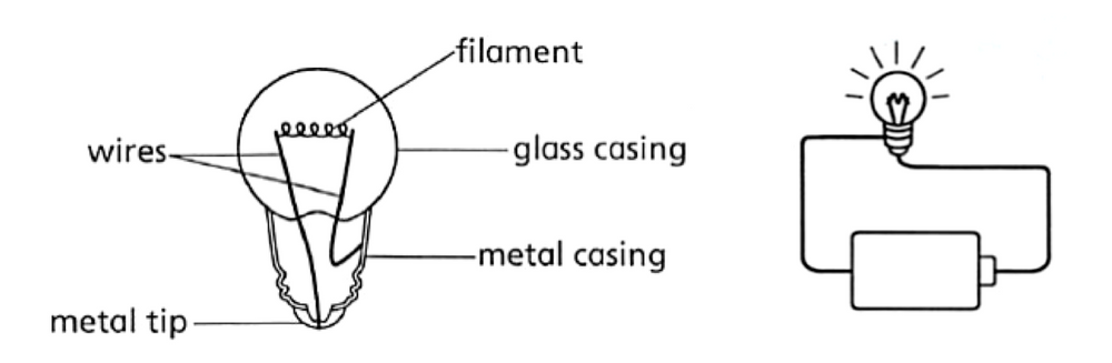Primary 5 Science for October - Electricity