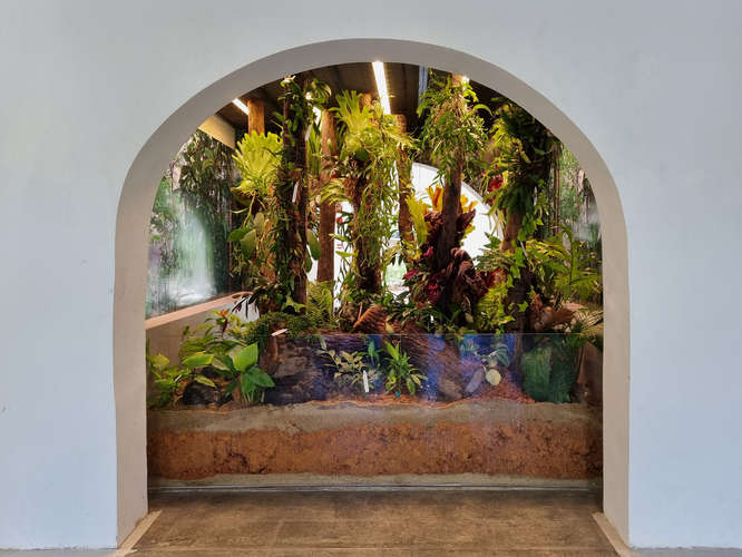 Atbara House Singapore Botanic Gardens Gallop Extension | Kay Ngee Tan ...