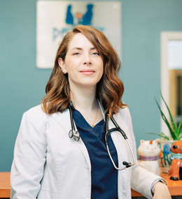 About Us | PetVet365 Pet Hospital