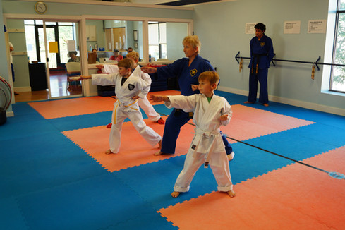 St. Louis Park | American Karate Studio