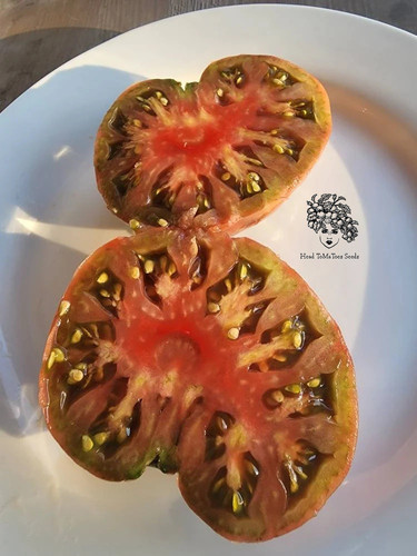 Jupiter's Glow Tomato Seeds | Head Tomatoes Seeds